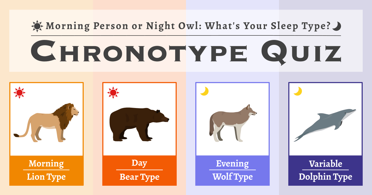 Chronotype Quiz - Morning Person or Night Owl: What's Your Sleep Type ...